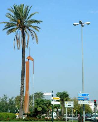 Palmera phoenix canariensis | Revista de Flores, Plantas, Jardinería ...