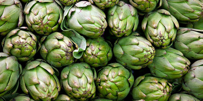 Qué son las brácteas | Floresyplantas.net