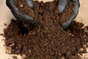 Comparativa entre diferentes tipos de estiércol | Floresyplantas.net